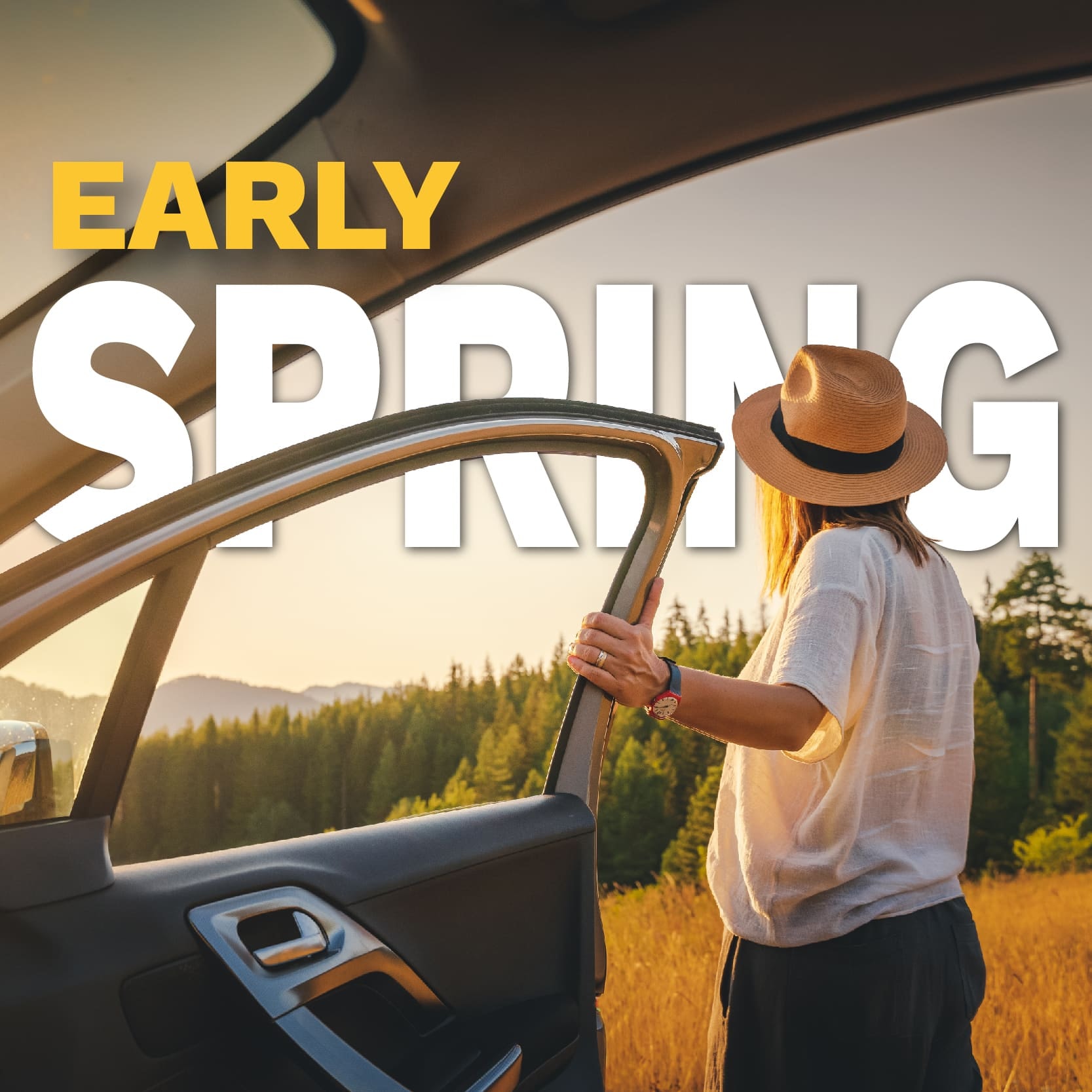 The best Offers on Car Hire | Centauro Rent a Car